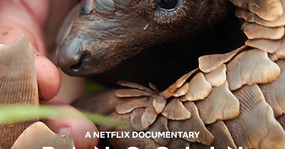 Top 20 Beste Documentaires 2025 op Netflix (juli 2025) - FilmVandaag.nl