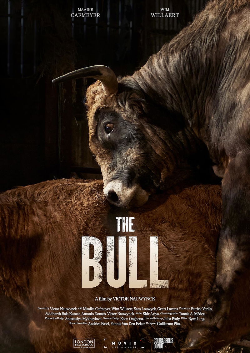 De stier (film, 2024) - FilmVandaag.nl