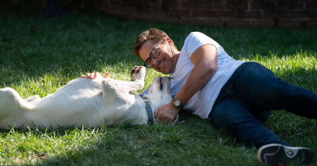 Waargebeurde hondenfilm met Rob Lowe nu te zien op Netflix - FilmVandaag.nl