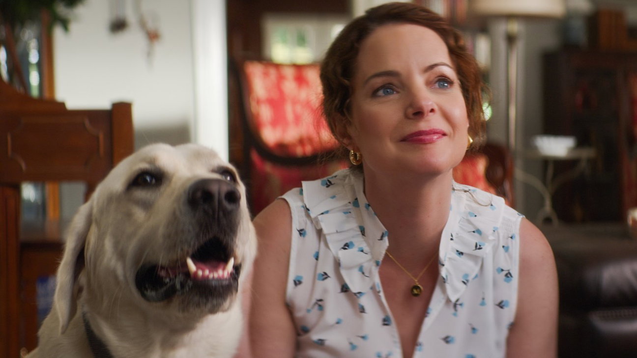 Gaat de hond dood in nieuwe Netflix-film 'Dog Gone'? - FilmVandaag.nl