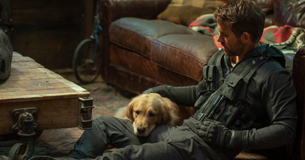 Spectaculaire Netflix-film met Ryan Reynolds blaast kijkers omver: 'Wat ...