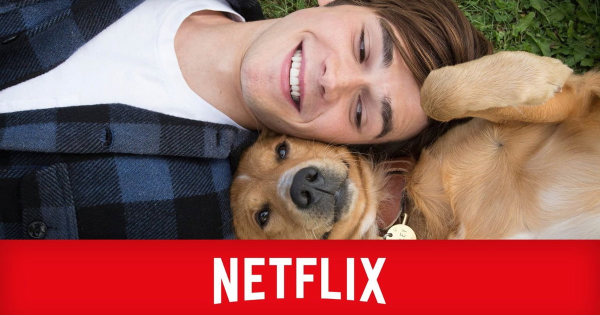 De 5 beste nieuwe films op Netflix (week 17, 2024) - FilmVandaag.nl