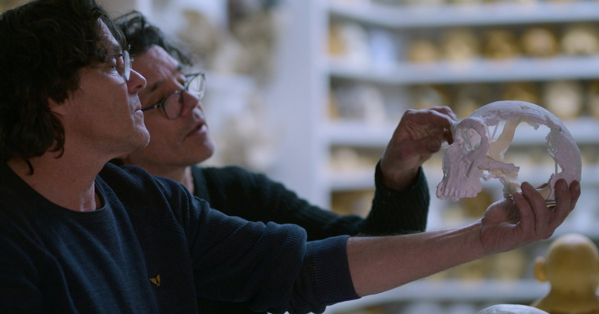 Netflix komt met informatieve documentaire over de Neanderthalers ...