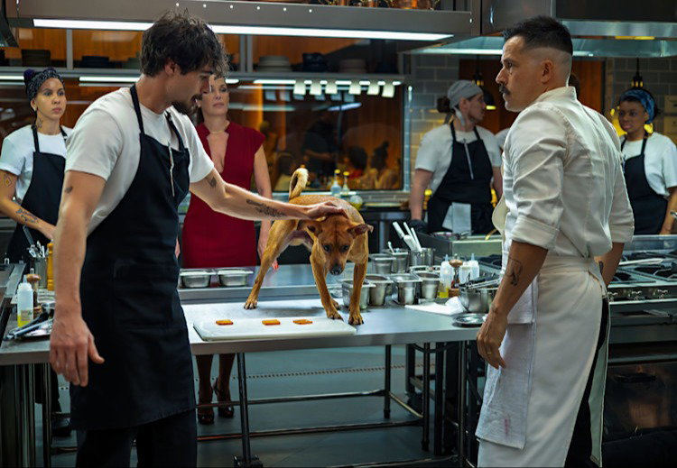Netflix komt met nieuwe aangrijpende hondenfilm: 'Caramelo ...