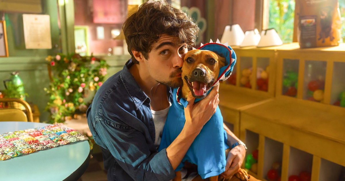 'Caramelo' op Netflix: alles over de nieuwe aangrijpende hondenfilm ...