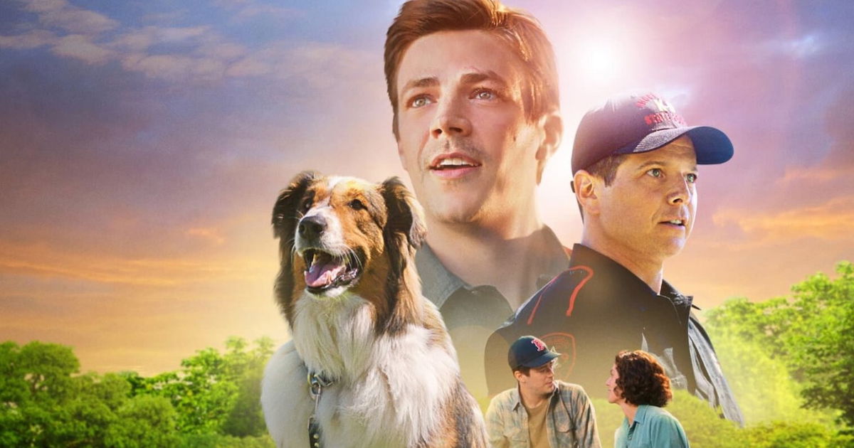 Waargebeurde feelgoodfilm 'Rescued by Ruby' nu te zien op Netflix ...